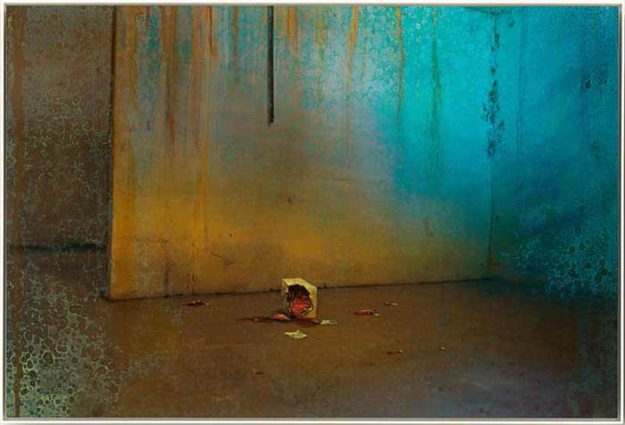 PHOTO:Eric Cahan – dreamideamachine ART VIEW