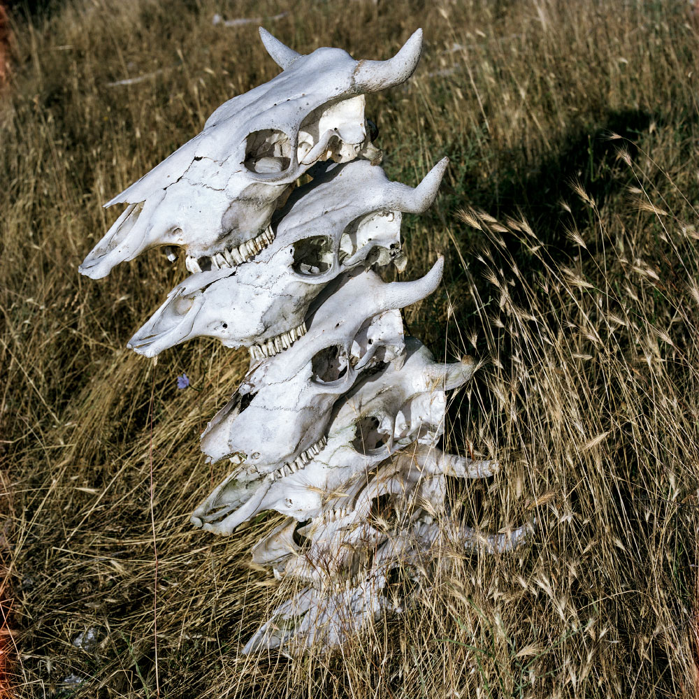 PHOTO: Stratos Kalafatis-Thou shalt see me at Philippi ...